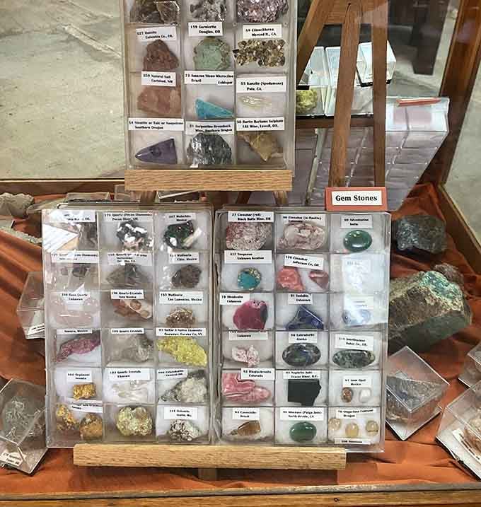 Gemstones from around the world, organized and labeled for rock enthusiasts and curious visitors alike.