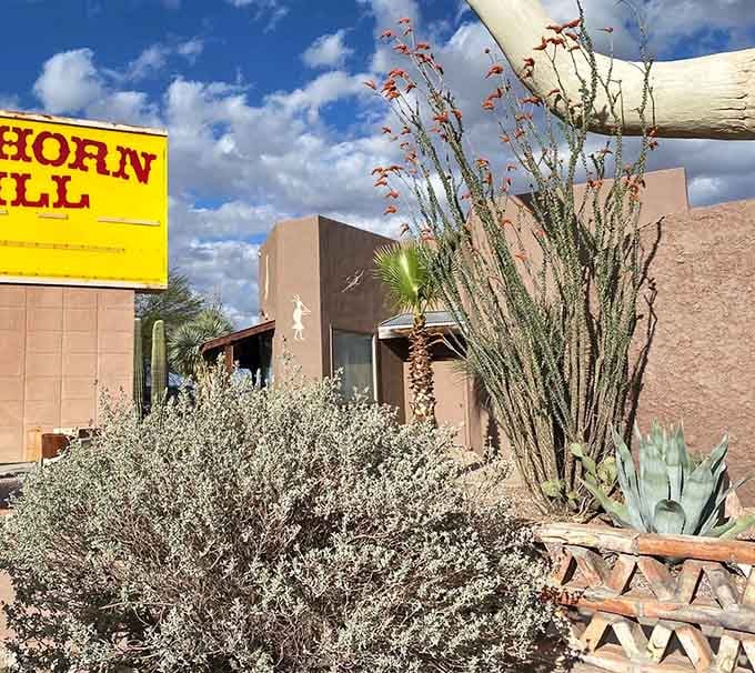 Desert plants and ocotillo frame the view, reminding you this spectacular weirdness is authentically, gloriously Arizona.