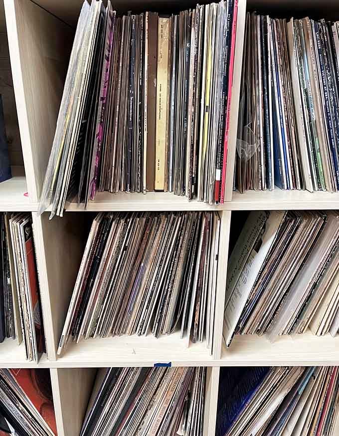 Shelves packed with vinyl records hold musical memories from decades past, waiting to spin again on someone's turntable.