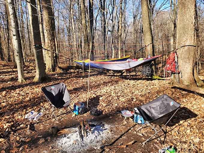 Hammock camping between trees offers the ultimate outdoor bedroom, where your ceiling is literally the forest canopy above.