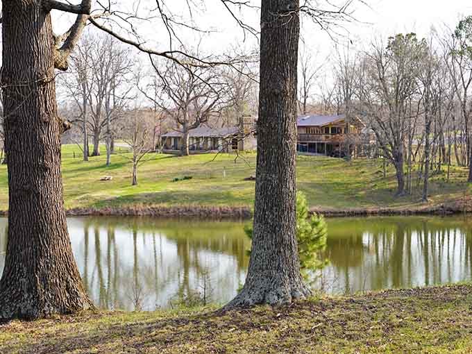 The pond reflects surrounding trees like nature's own mirror, minus the harsh lighting that makes everyone look tired.