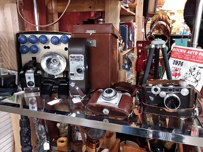 Vintage cameras and leather cases that remind us when photography required actual skill, patience, and film that cost money.