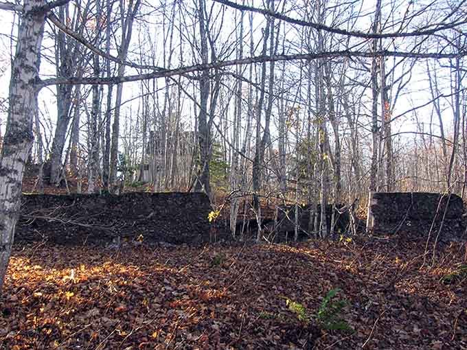 Concrete foundations emerge from leaf litter like archaeological ruins, except these artifacts are barely a century old and already forgotten.