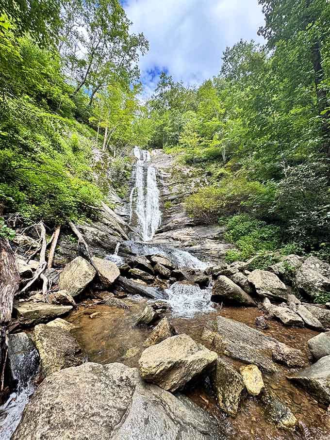 Toms Creek Falls rewards hikers with natural beauty that costs absolutely nothing but a little effort.