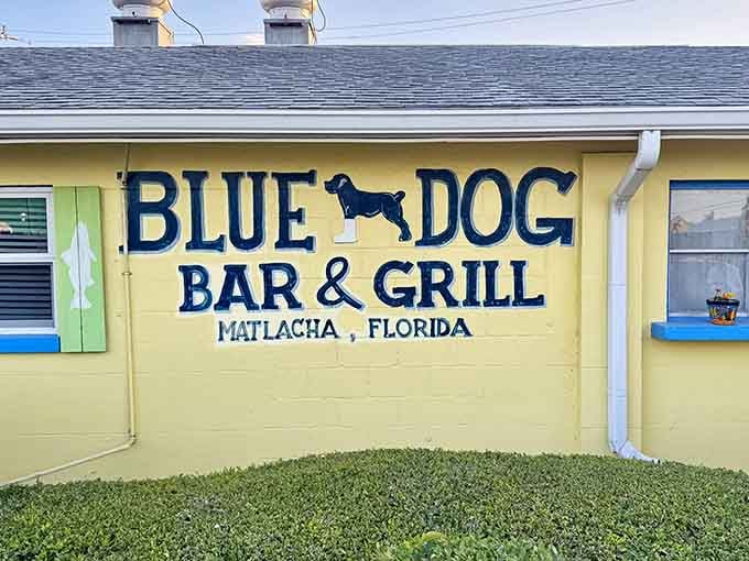 The Blue Dog Bar & Grill understands that yellow is the happiest color for a building serving cold drinks.