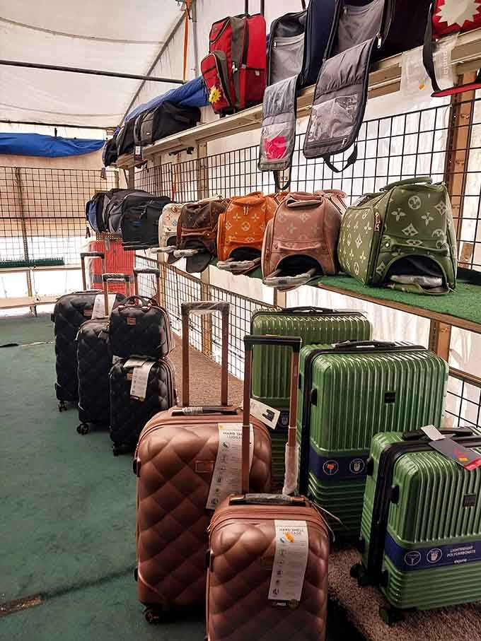 Luggage options ranging from weekend getaway to "I'm moving to another country and taking everything with me" sizes.