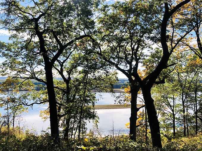 Sunlight filters through the canopy, illuminating the river below in a display that beats any screensaver you've ever seen.
