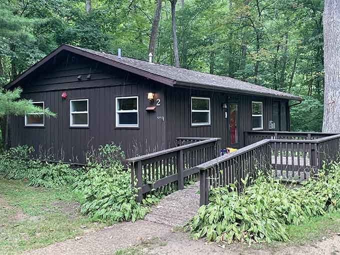 Cozy cabins nestled in the woods where "roughing it" still includes actual walls and a roof overhead.