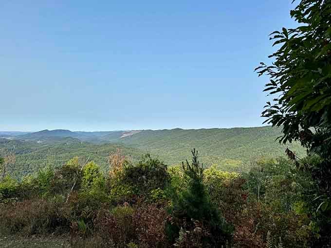 Summer's full glory on display with mountains dressed in their finest green, showing off for anyone willing to climb.