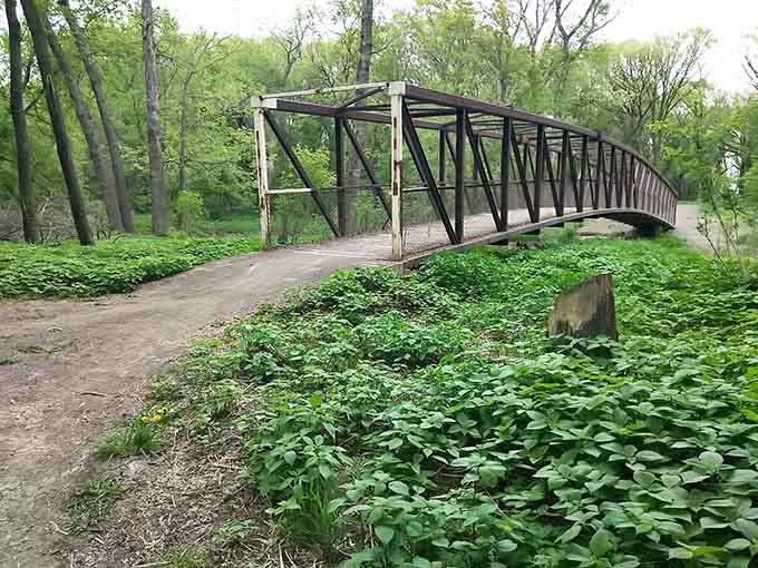 MB Johnson Park's footbridge crosses through spring greenery, offering peaceful trails where nature thrives within city limits effortlessly.