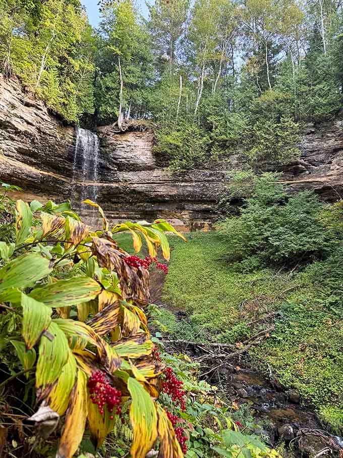 When the forest decides to accessorize with berries and moss, creating a scene straight from a storybook.