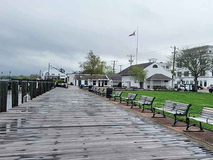 Mystic River Park: Benches facing the water where contemplating life's mysteries feels mandatory, preferably with ice cream in hand.