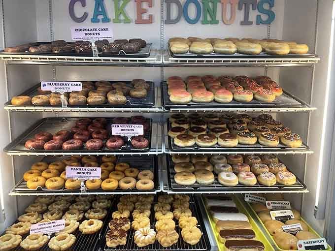 Shelves stacked with cake donuts in every flavor, organized like a library where everything's delicious and nothing's overdue.