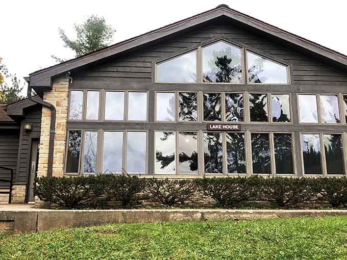 The Lake House building welcomes visitors with windows that frame the forest like living, breathing artwork worth admiring.