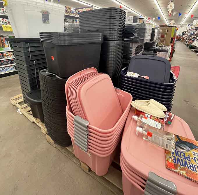 Storage bins in cheerful colors, making organization actually fun instead of financially painful for once.