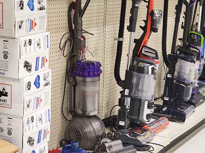 Vacuum cleaners that won't suck your wallet dry while they're sucking up dirt; finally, appliances with reasonable expectations.