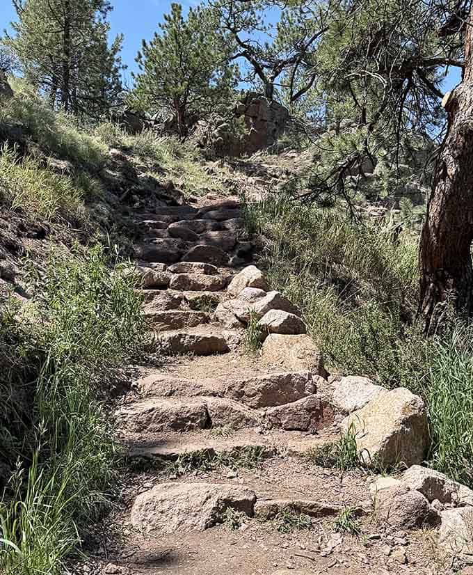 The rocky trail tests your footwear choices and reminds you that nature doesn't believe in easy access.