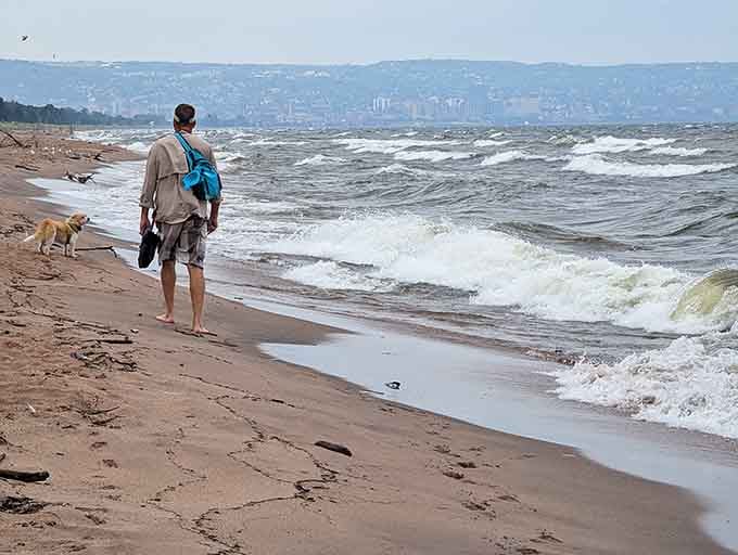 Beach walks with your best friend become even better when that friend has four legs.