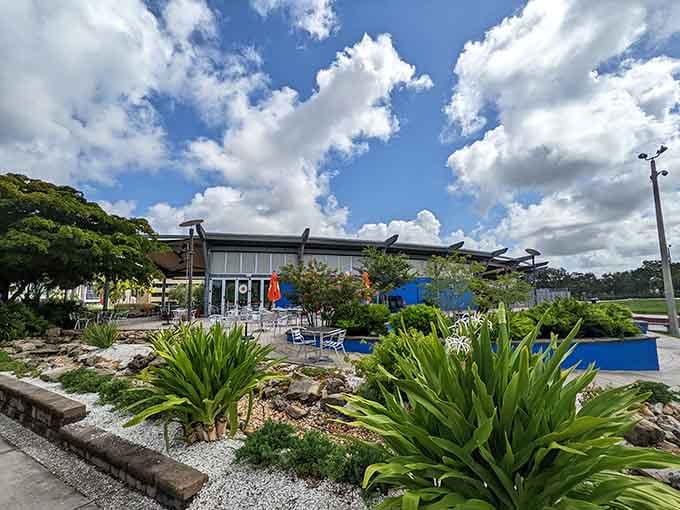 Modern facilities blend seamlessly with the park's playful vibe, because even circus performers need their coffee breaks.