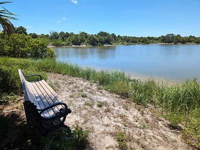 A waterside bench positioned perfectly for contemplating life, birds, or simply why you don't visit places like this more often.