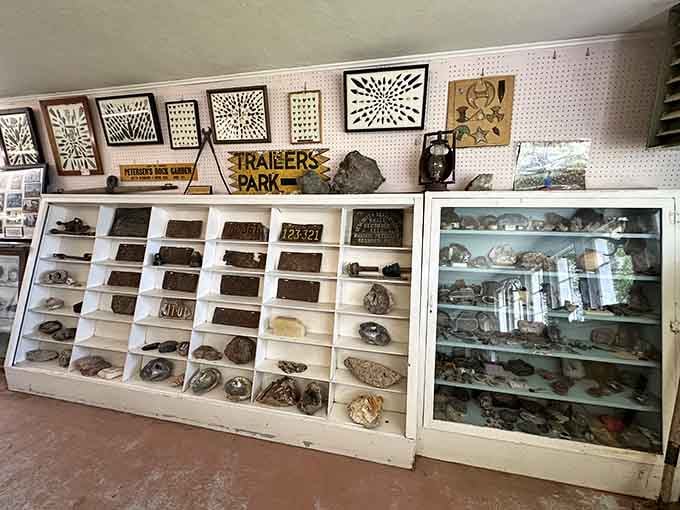 Display cases showcase nature's treasures like a geological candy store, organized with the care of a passionate collector.