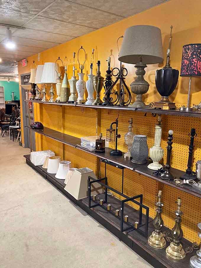 Vintage lamps lined up like soldiers, each one ready to illuminate your home with character and charm.
