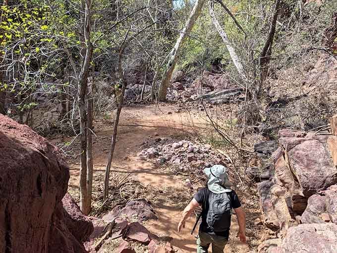 The dirt path meanders through trees, promising discoveries around every bend for those willing to keep walking forward.