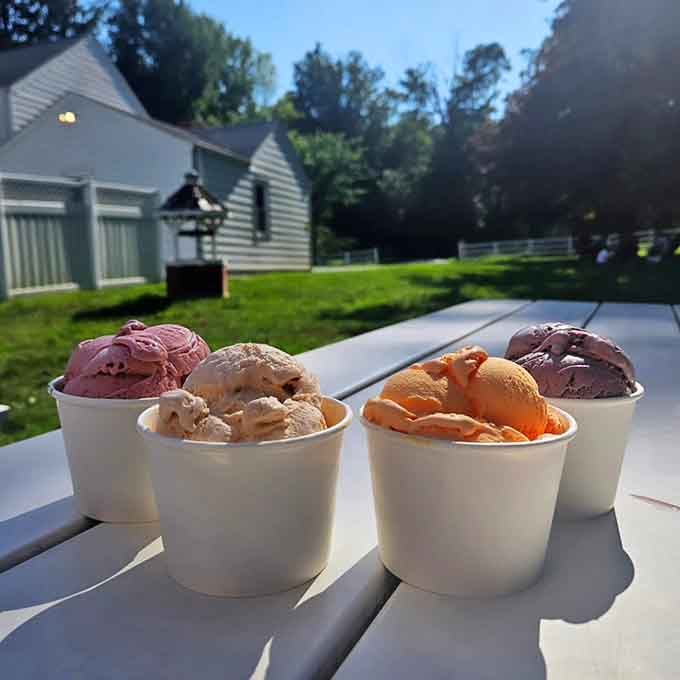 Four cups of happiness arranged like a family portrait, each one telling its own delicious story.