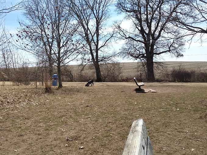 Winter rest areas provide spots to catch your breath and appreciate the stark beauty of dormant prairies.