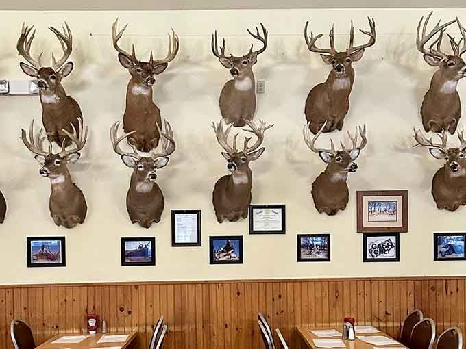 When ten deer heads aren't enough, you go for the full wall treatment and create something truly unforgettable.