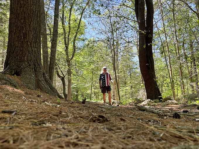 The low-angle view emphasizes just how small we are compared to these towering trees that have witnessed generations pass.