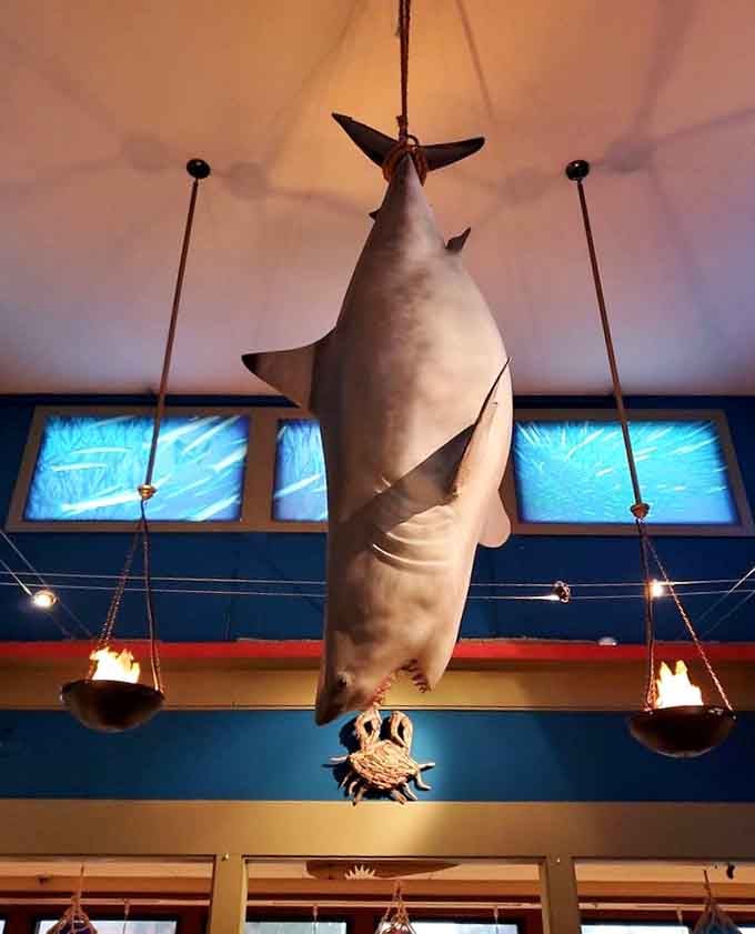 That suspended shark watching over diners adds just the right amount of whimsy to your underwater dining adventure.