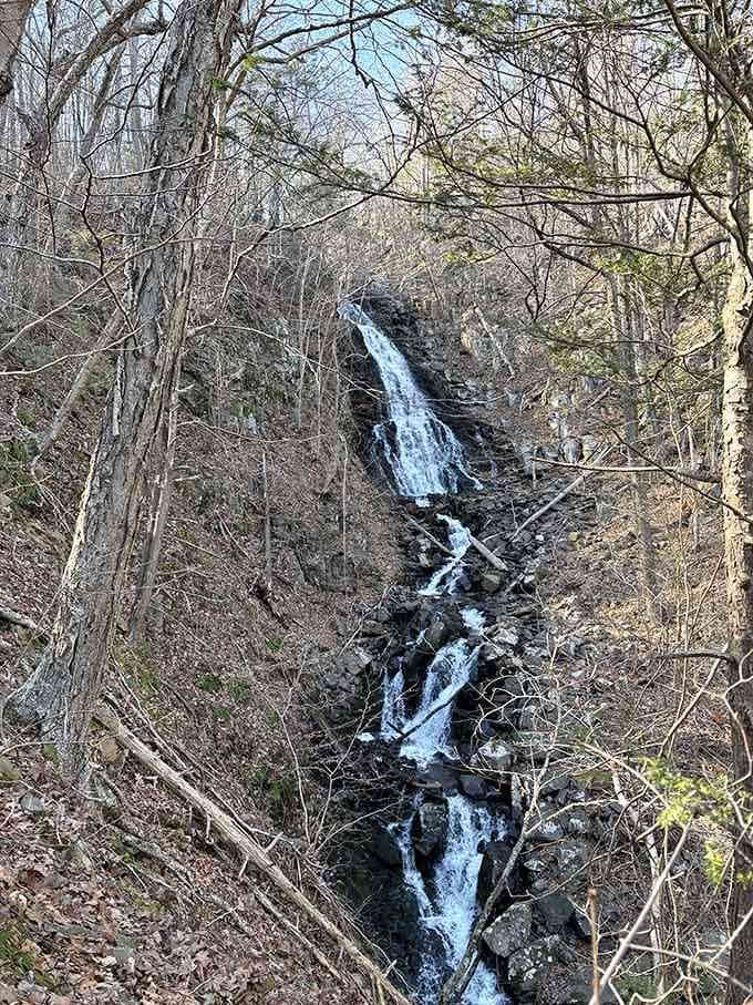 Winter reveals the waterfall's elegant bones, with bare trees framing the cascade like a vintage photograph from your grandparents' album.