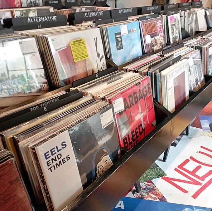 Alternative music bins overflow with discoveries that'll make you wonder how you ever lived without them before.