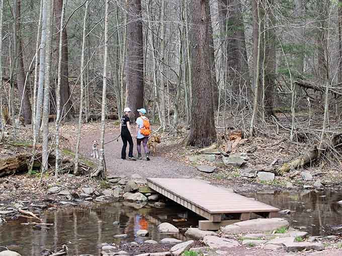 When the trail is this good, even getting the family off their devices becomes surprisingly achievable for once.