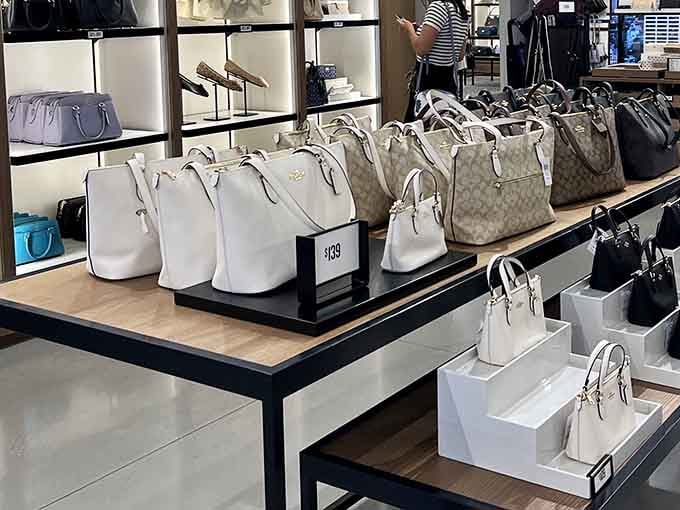 Designer bags lined up like affordable dreams, proving luxury doesn't always require explaining yourself to your spouse later.