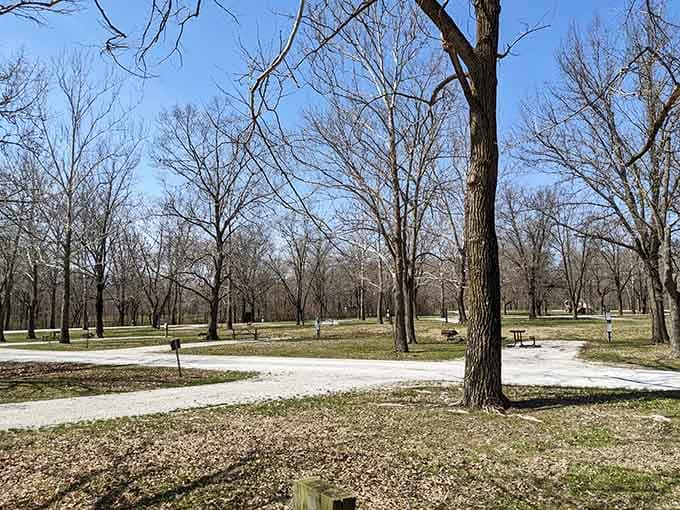 Spacious campsites under bare branches offer peaceful solitude that makes you forget about your overflowing email inbox.