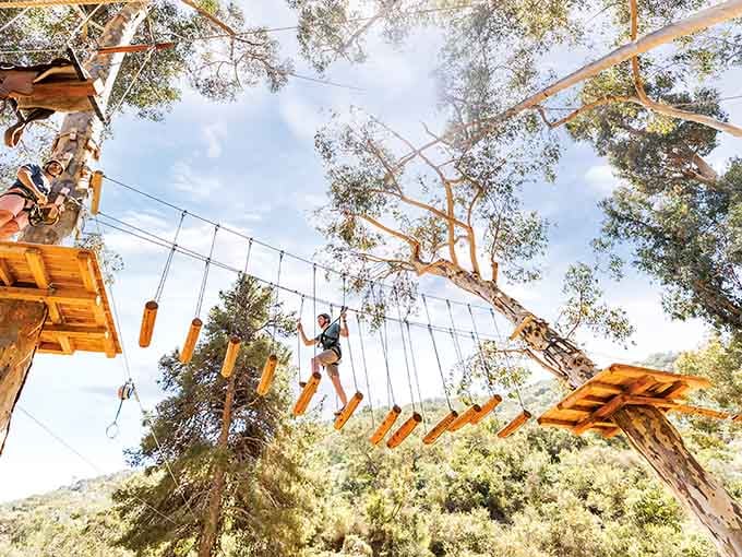 The Aerial Adventure course challenges visitors to navigate obstacles while suspended above the island like ambitious squirrels.