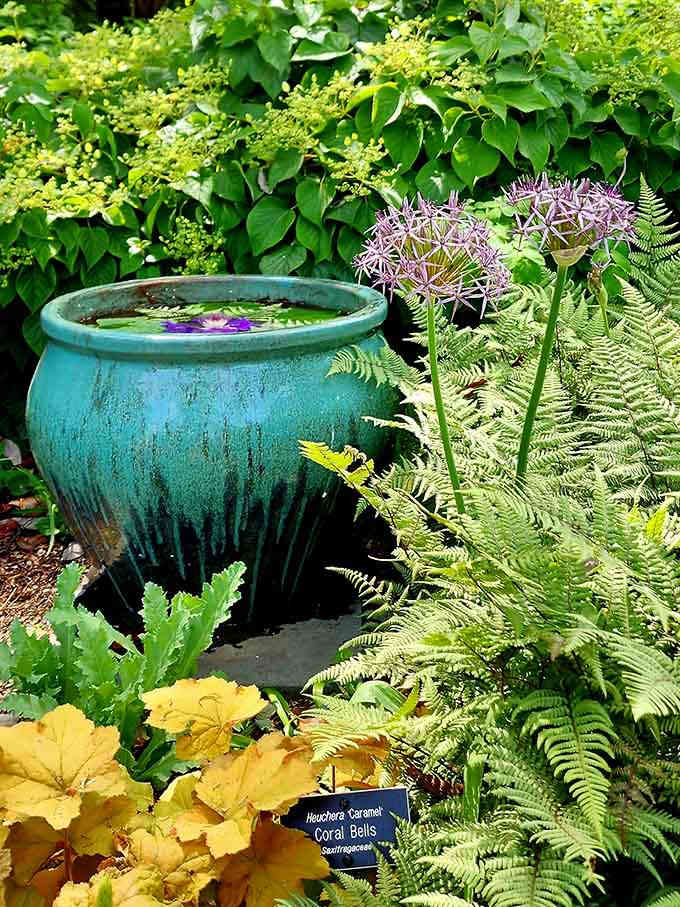 A turquoise glazed pot becomes garden art, surrounded by coral bells and ferns in this perfectly composed vignette.