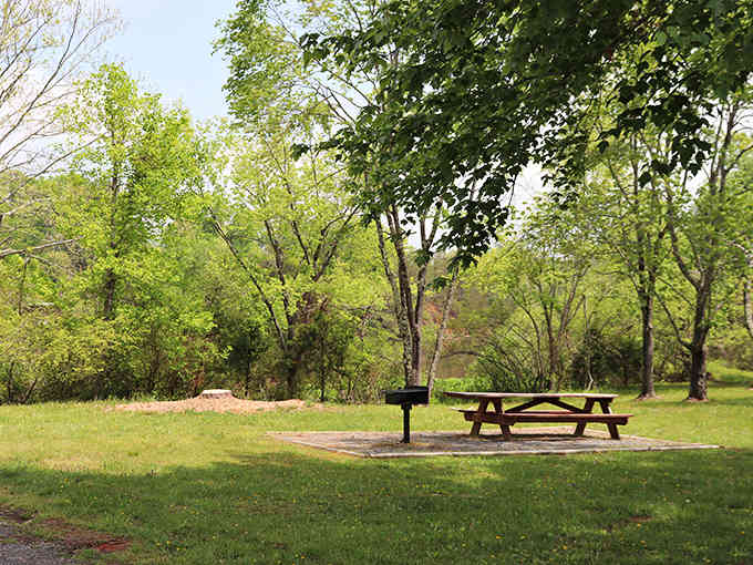 Totier Creek Park offers picnic spots where the only soundtrack is birdsong and the occasional happy sigh.