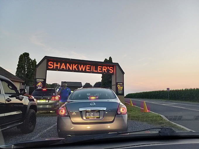 Cars line up at the entrance, their occupants eager to experience movies the way they were meant to be enjoyed.