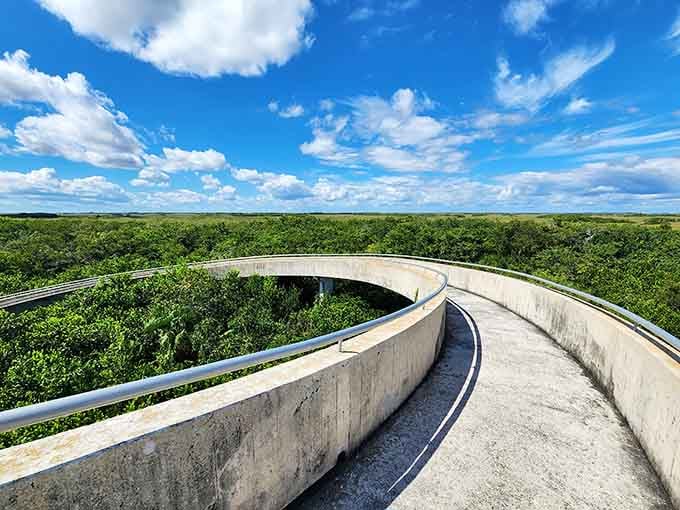 The spiral ascent offers increasingly better views, like unwrapping layers of the world's flattest, wettest present.