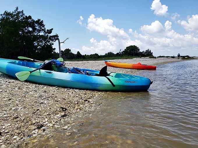 Multiple ways to explore mean everyone finds their perfect pace for adventure and fossil discovery.
