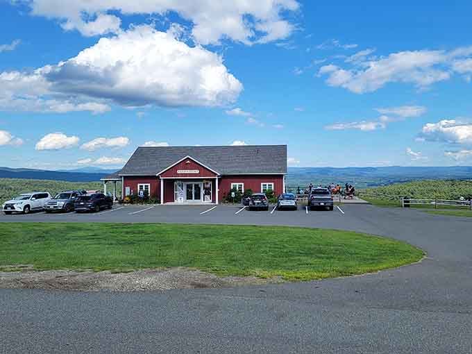 Apex Orchards offers mountain views with your apple picking, which beats staring at a supermarket ceiling any day.