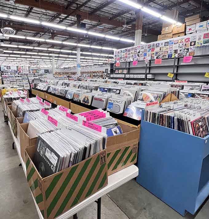 The sprawling interior layout invites exploration, with enough space to get happily lost for hours.