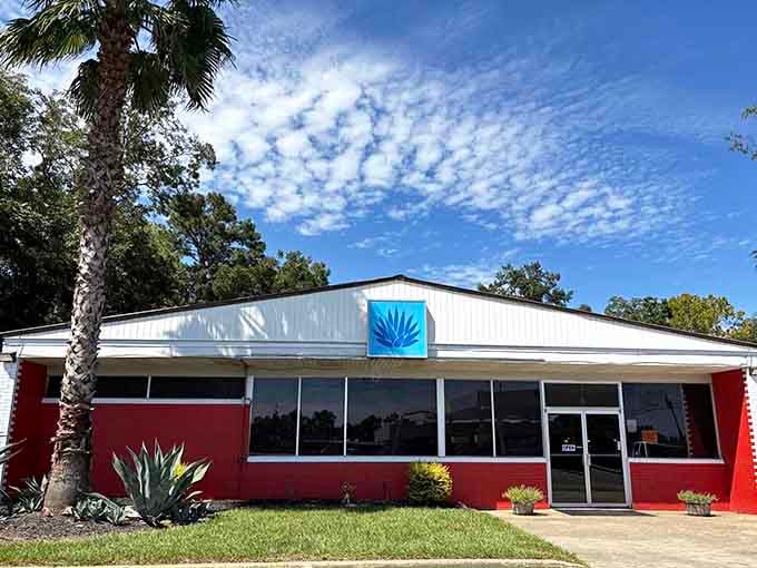 Agave Azul brings a taste of Mexico to tomato country, proving this town appreciates all cuisines.