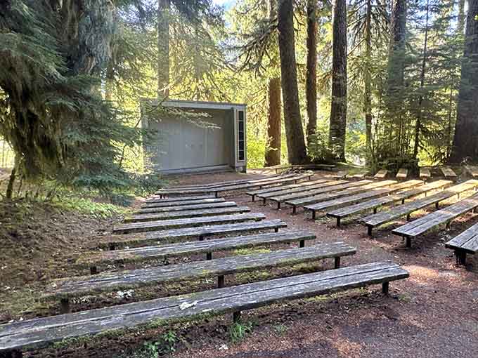An outdoor amphitheater where nature provides the entertainment and the acoustics are absolutely perfect every single time.