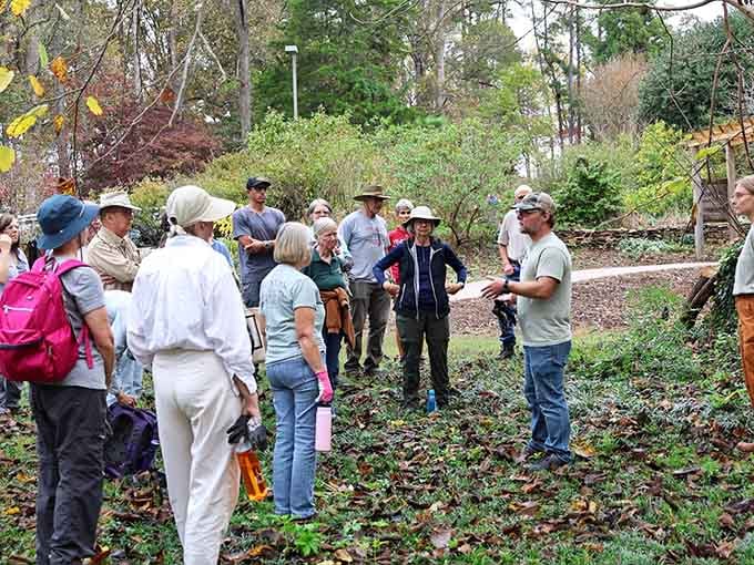 Guided tours happen regularly, turning casual strolls into educational adventures you'll actually remember and enjoy.
