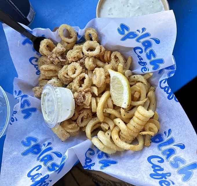 Golden calamari rings that prove the ocean's bounty extends well beyond the chowder pot into crispy perfection.