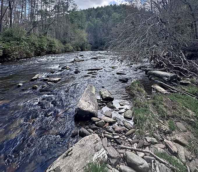 The Chattooga River flows strong and steady, soundtrack to your entire hiking adventure.